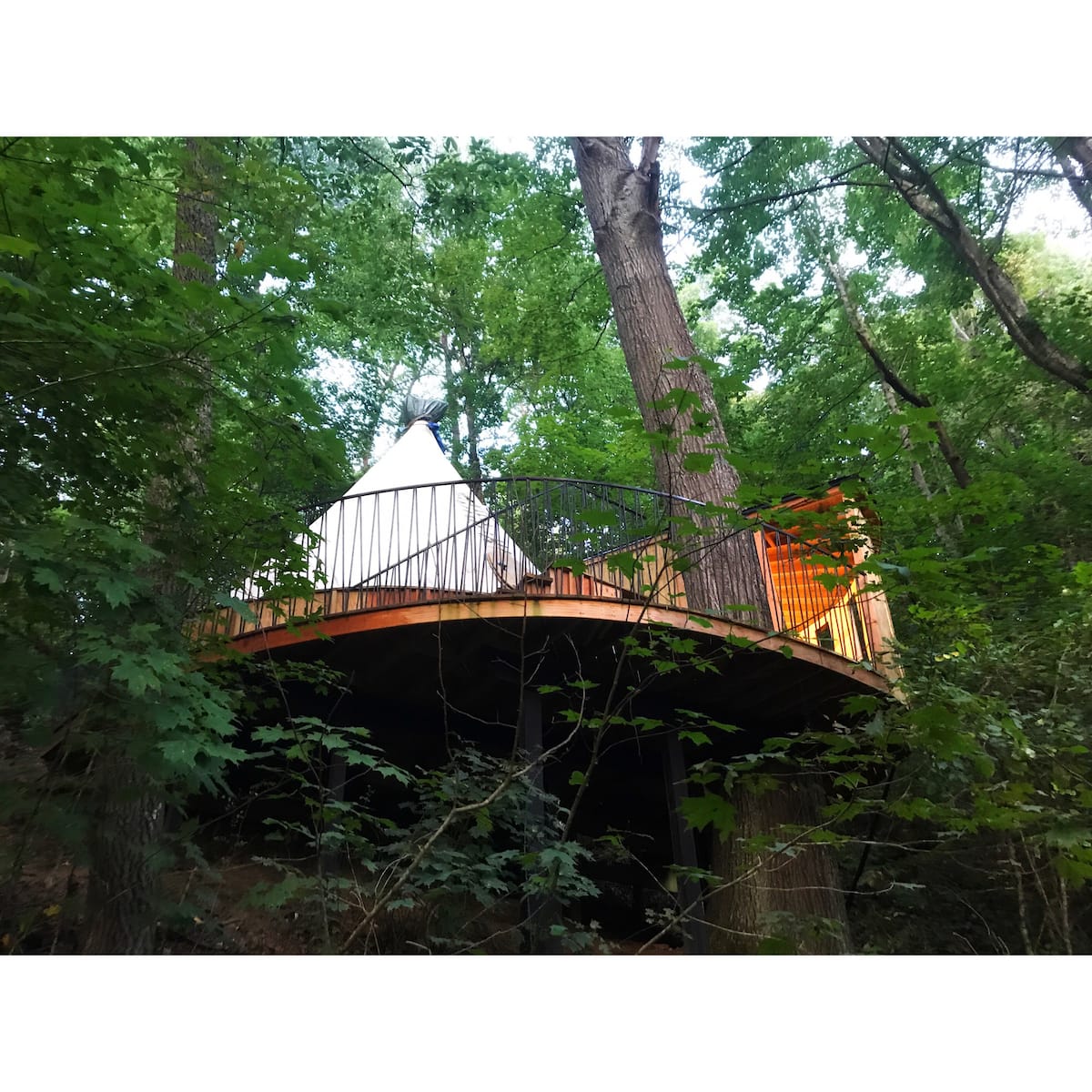 65 Most Beautiful Treehouse Rentals in the USA - Relaxing Decor