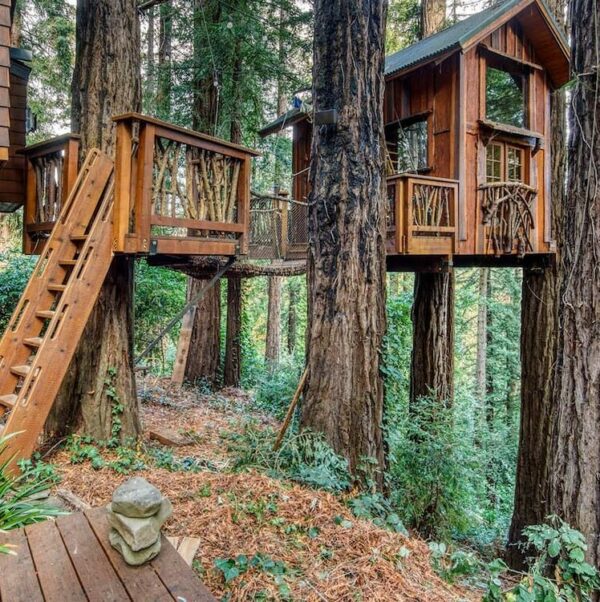 65 Most Beautiful Treehouse Rentals in the USA - Relaxing Decor